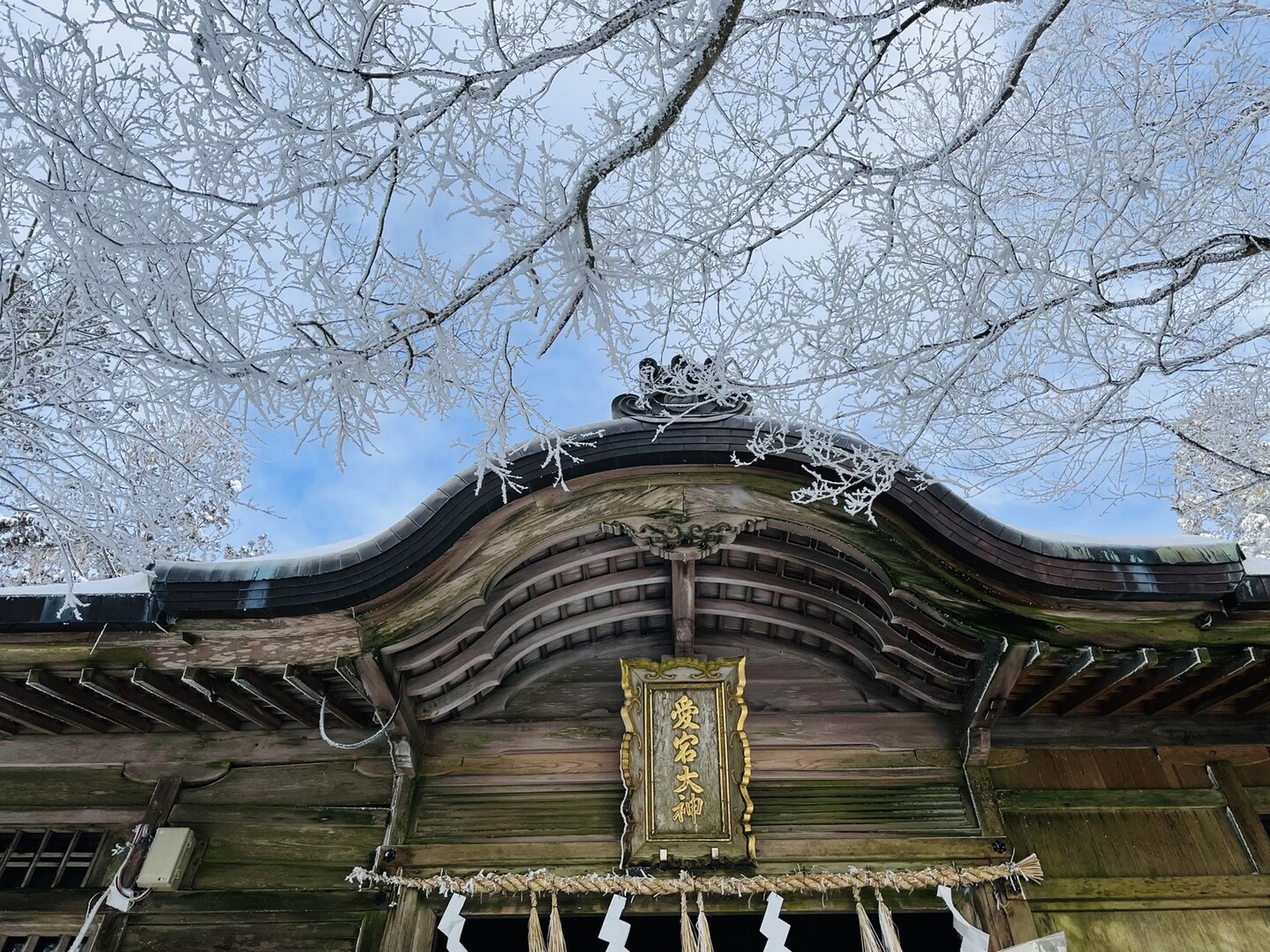 愛宕山 / joyさんの愛宕山・三頭山・朝日峯の活動データ | YAMAP / ヤマップ