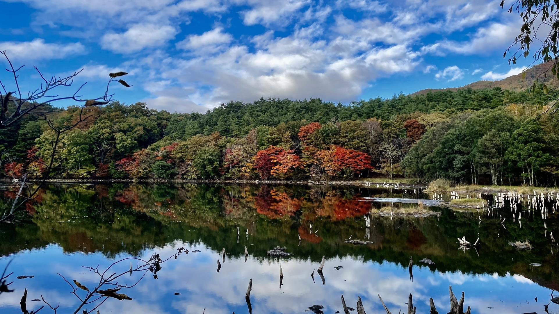 なかなかお山に行く時間がない😮‍💨 ... / cobalt さんのモーメント | YAMAP / ヤマップ