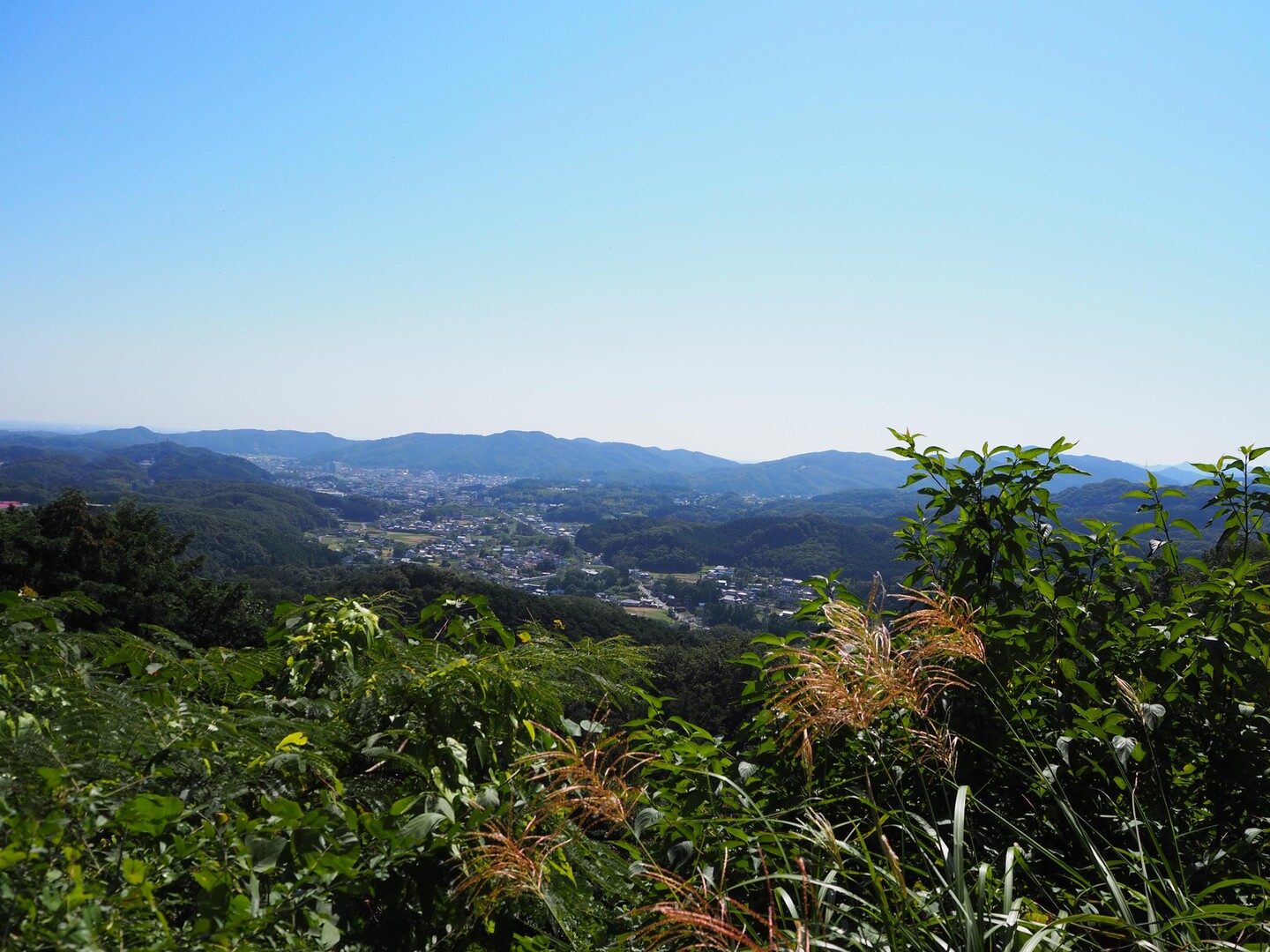 金勝山・裏金勝山 / emuさんの官ノ倉山の活動データ | YAMAP / ヤマップ