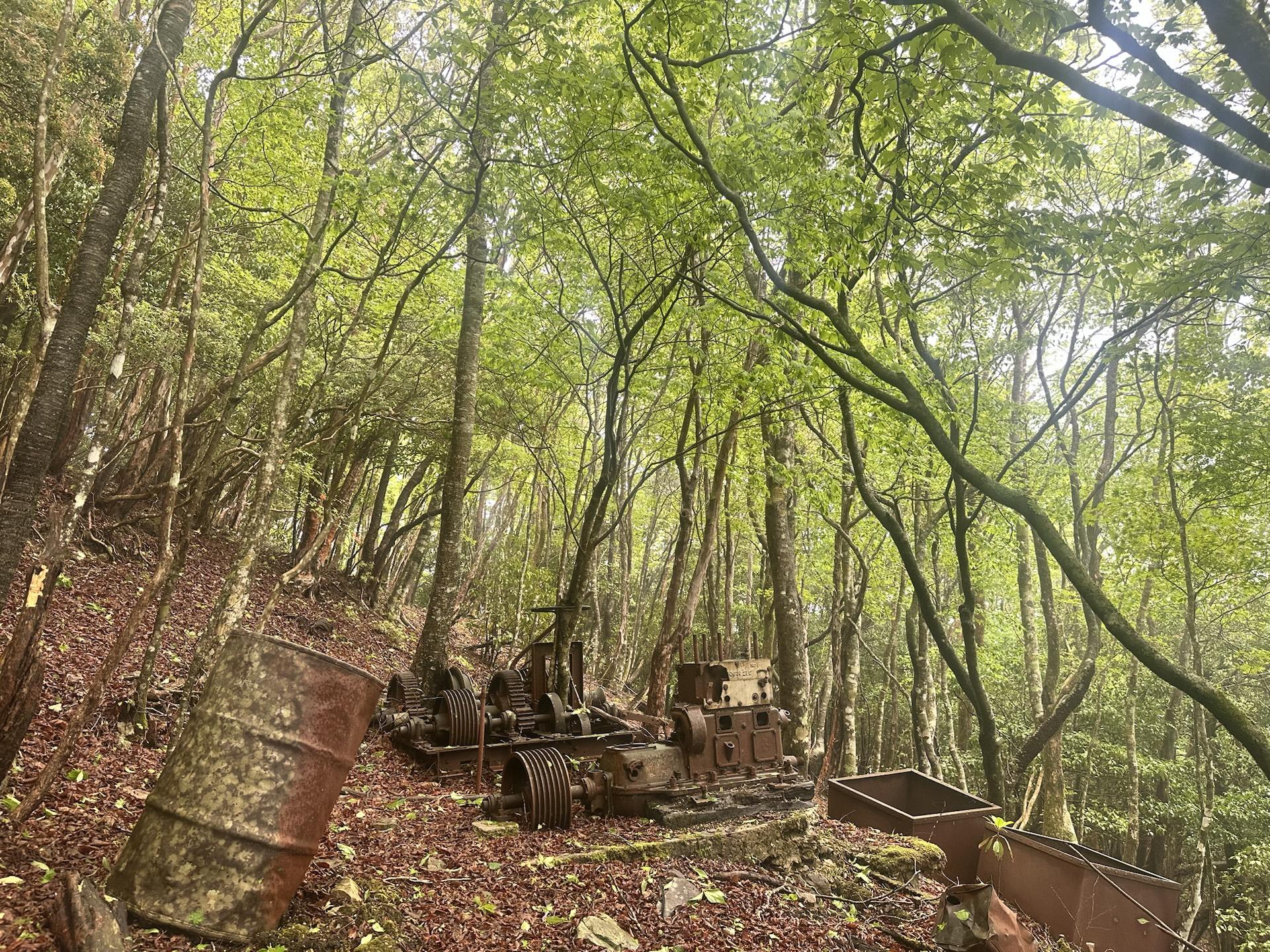 Oh！ひやみずぅ / naossanさんの熊野古道 小辺路の活動データ | YAMAP / ヤマップ