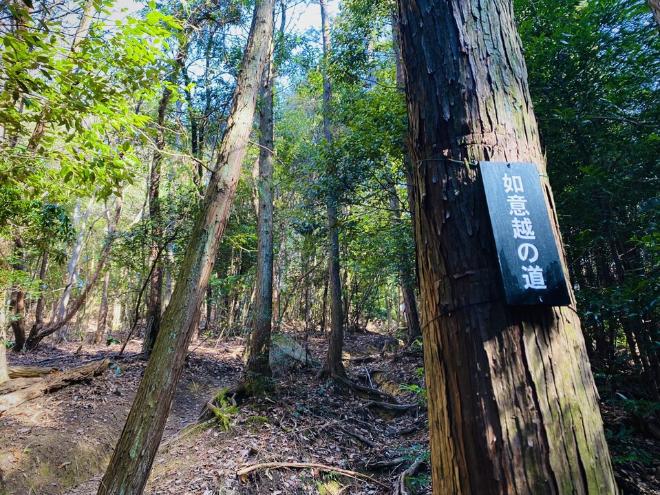 大津京駅-長等山-逢坂山 縦走コースの地図・登山ルート・登山口情報 | YAMAP / ヤマップ