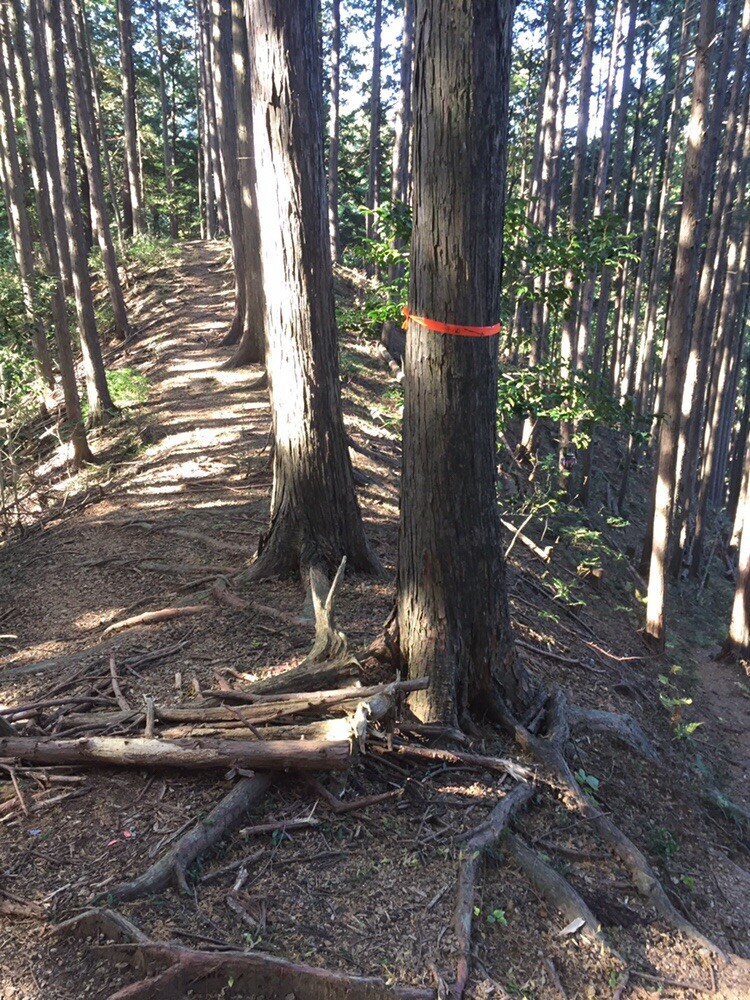 SunKingさんの投稿したフィールドメモ | YAMAP / ヤマップ