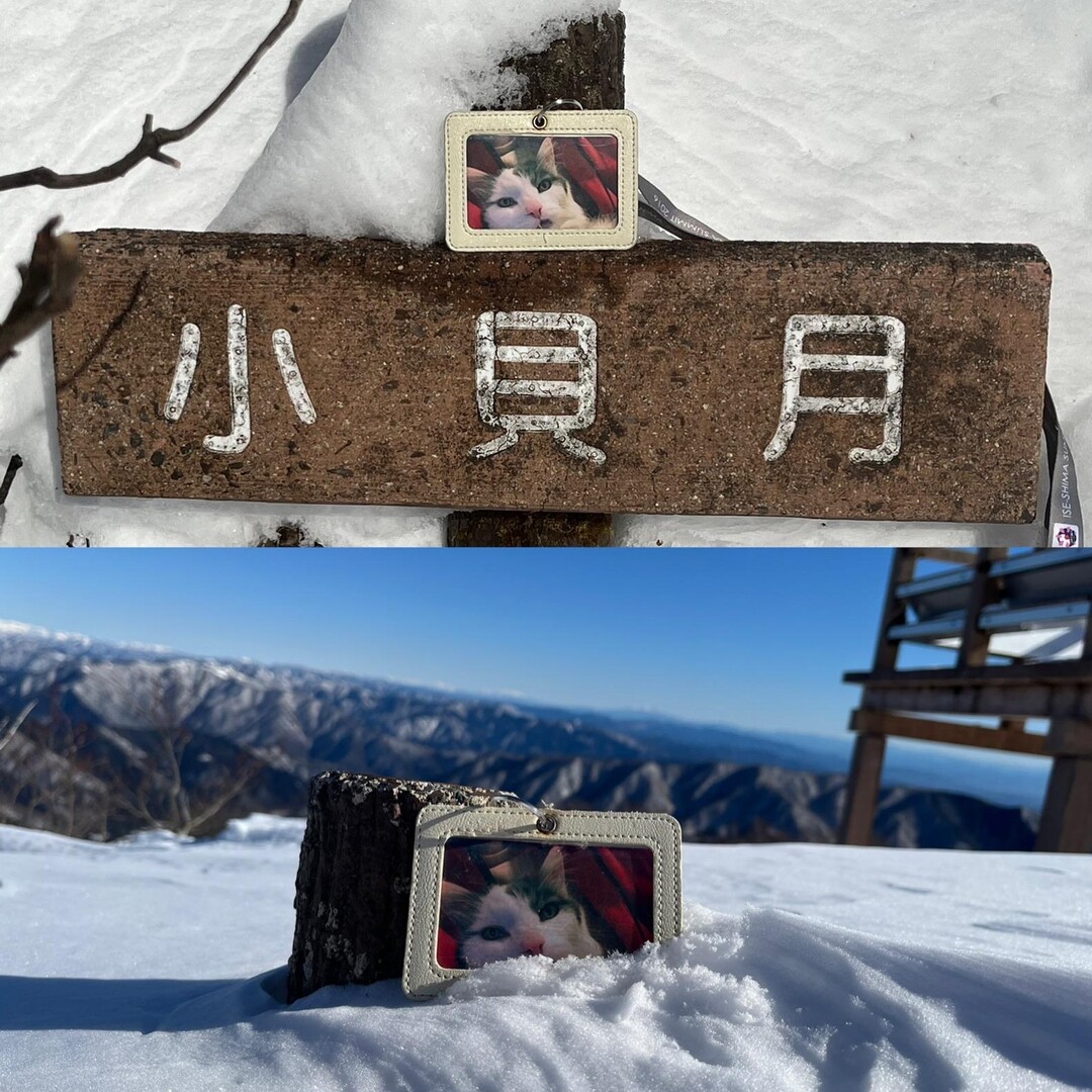 小貝月山・貝月山・なっくんと共にR6-03(通算202) / なっくんさんの貝月山の活動データ | YAMAP / ヤマップ