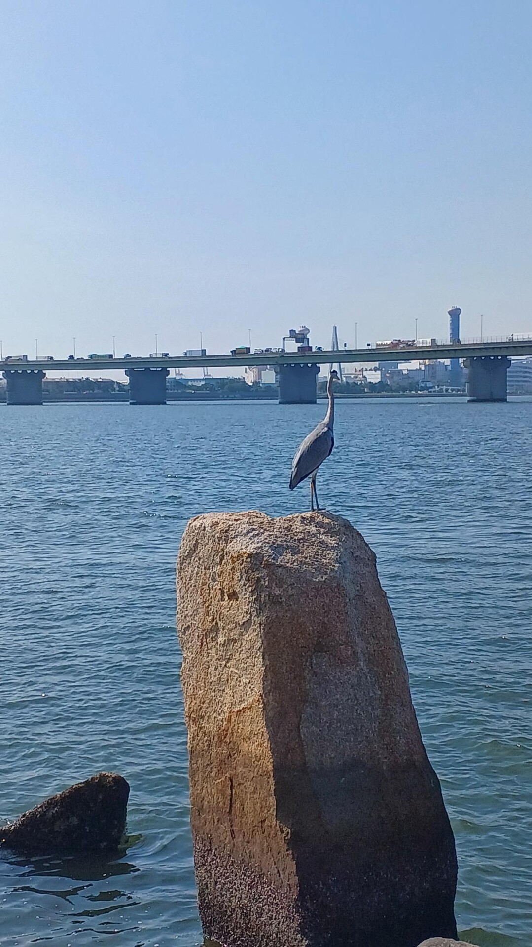 大阪市内の秘境・矢倉緑地 / Life Fun Natureさんの大阪市の活動データ | YAMAP / ヤマップ