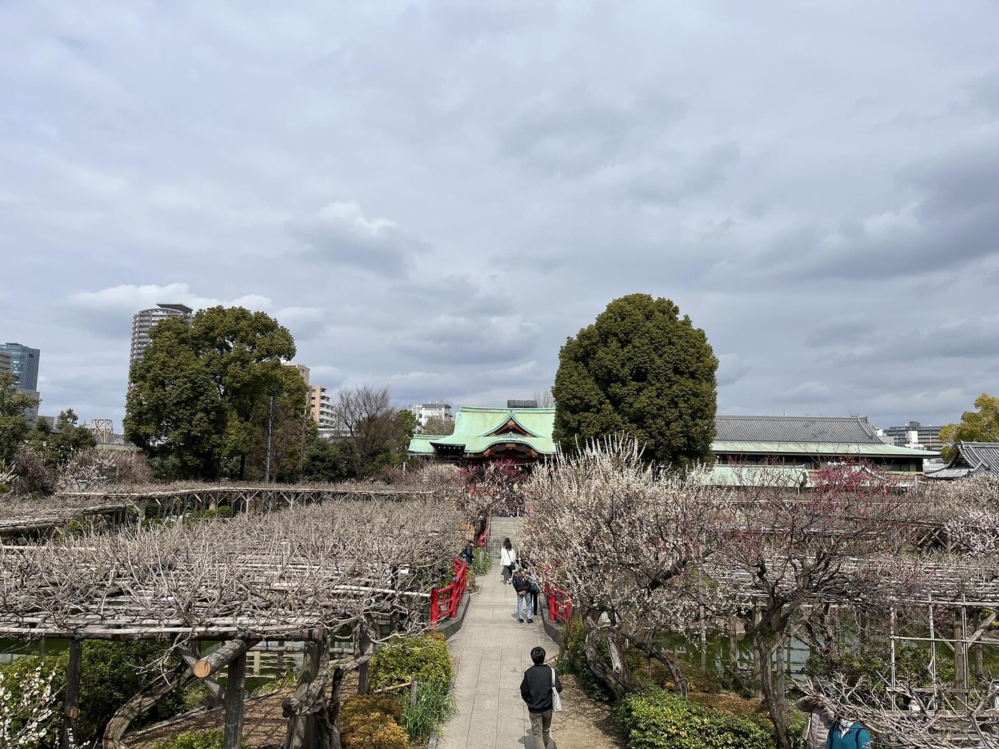 亀戸天神の梅祭りに行ってきました。 五十... / みーさんさんのモーメント | YAMAP / ヤマップ