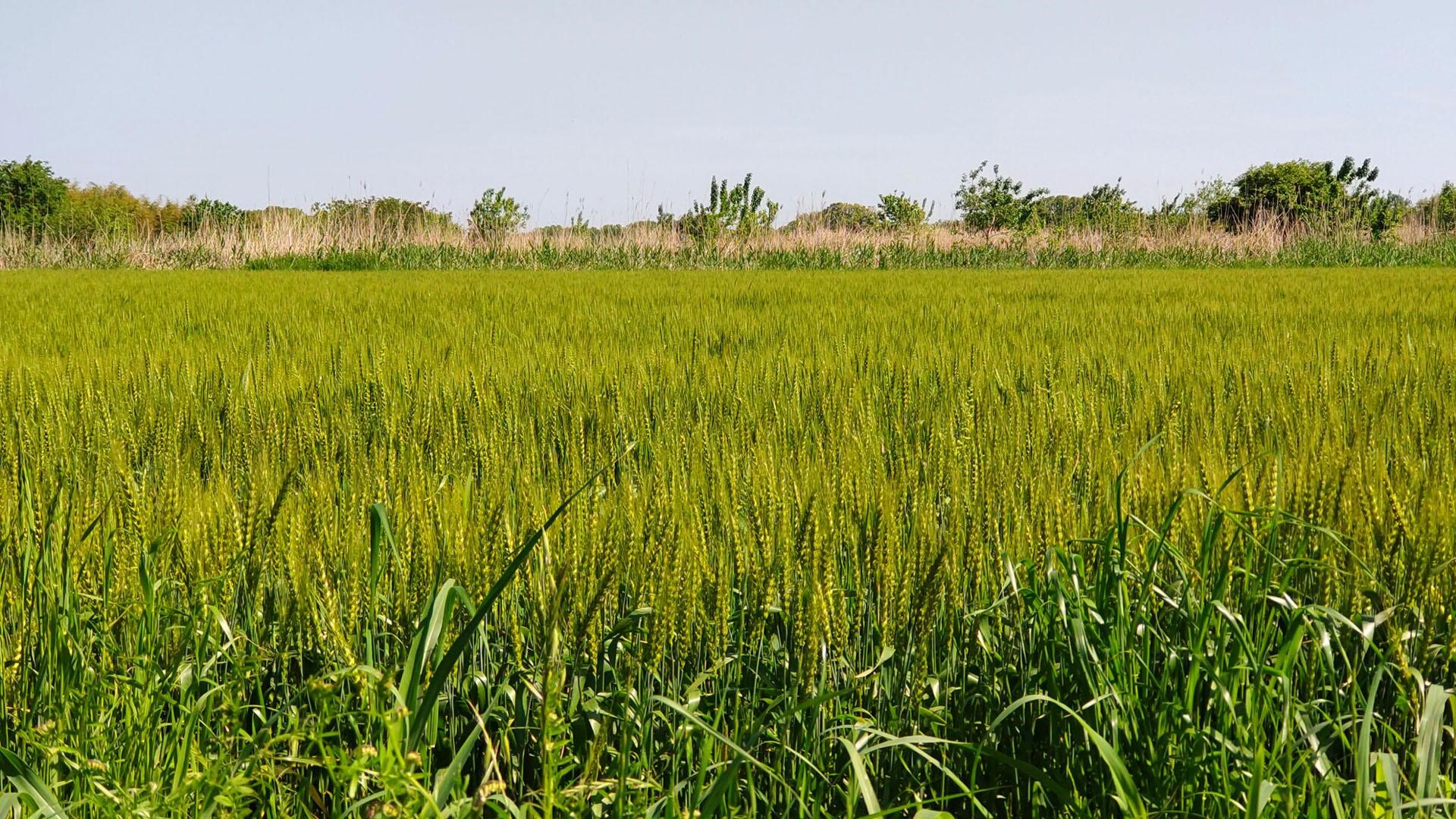 GW後半は榎本牧場へサイクリング / zukiさんの川越市の活動データ | YAMAP / ヤマップ
