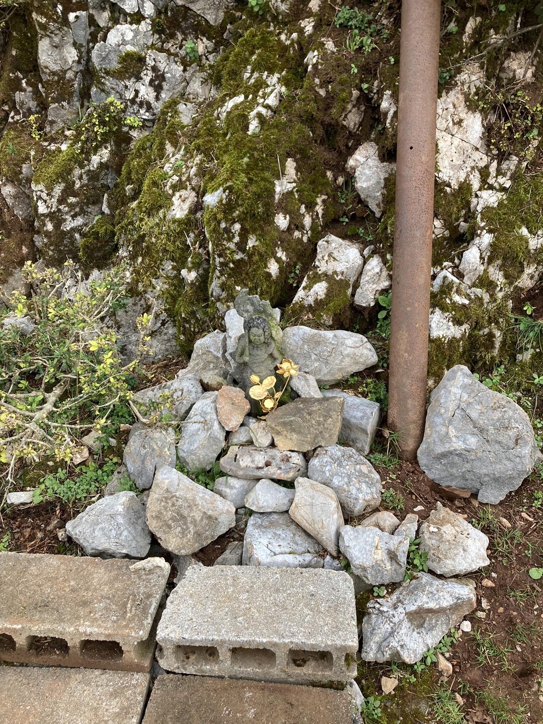 伊吹山、八合目で石仏様を修復させていただ... / kozoさんのモーメント | YAMAP / ヤマップ