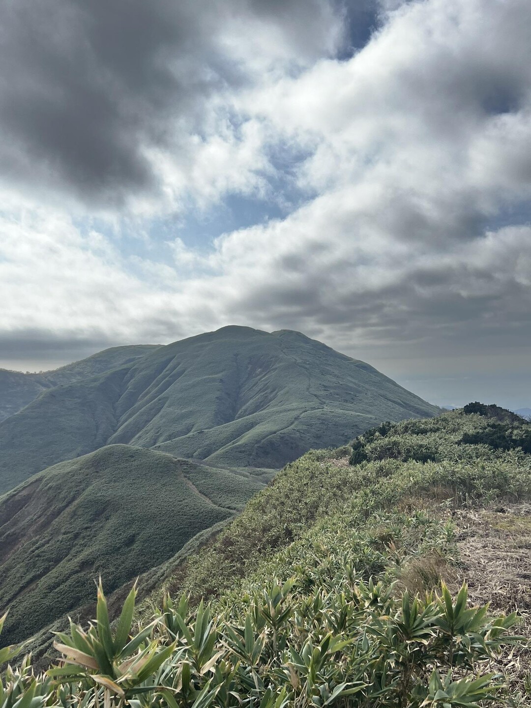 I am a ridgeline addict / まりっぷさんの真昼岳・女神山・音動岳・黒森山の活動データ | YAMAP / ヤマップ
