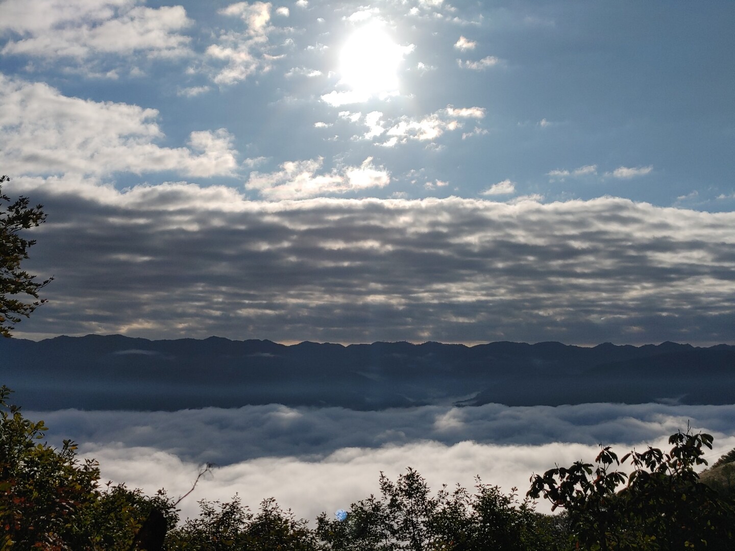 突然ですが、雲海の写真が好きです😁 雨... / HIRO88さんのモーメント | YAMAP / ヤマップ
