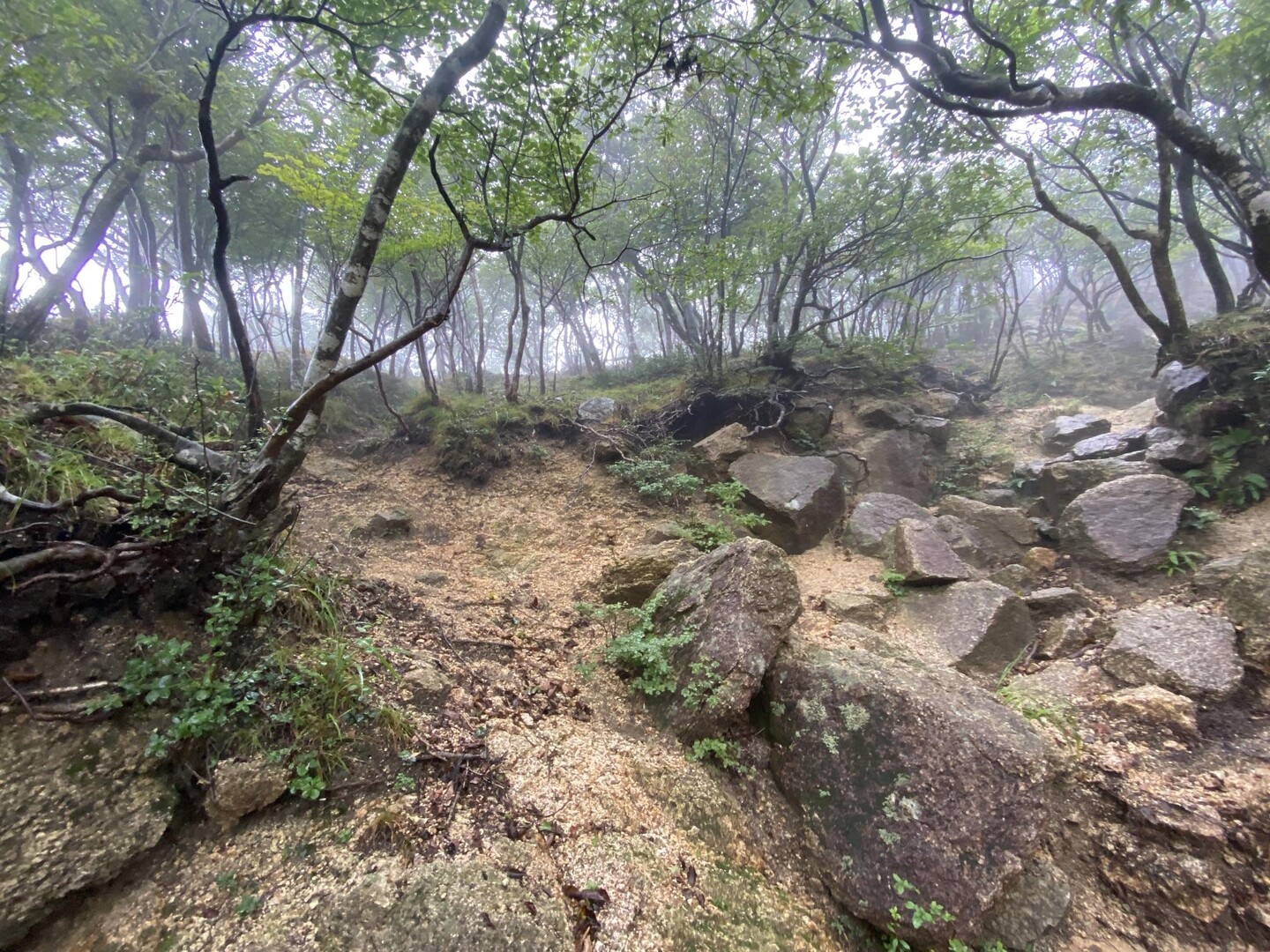 k2ma34さんの投稿したフィールドメモ | YAMAP / ヤマップ