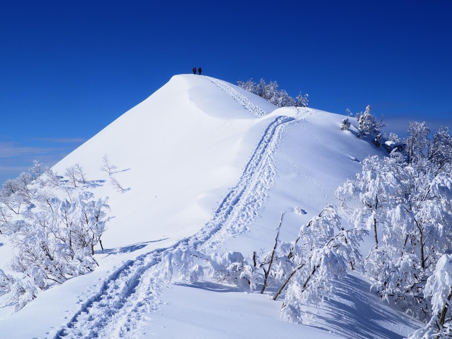 迷ったら五頭山、やっぱり五頭山 / 天ぷらケンジJyJyさんの五頭山・菱ヶ岳・宝珠山の活動データ | YAMAP / ヤマップ