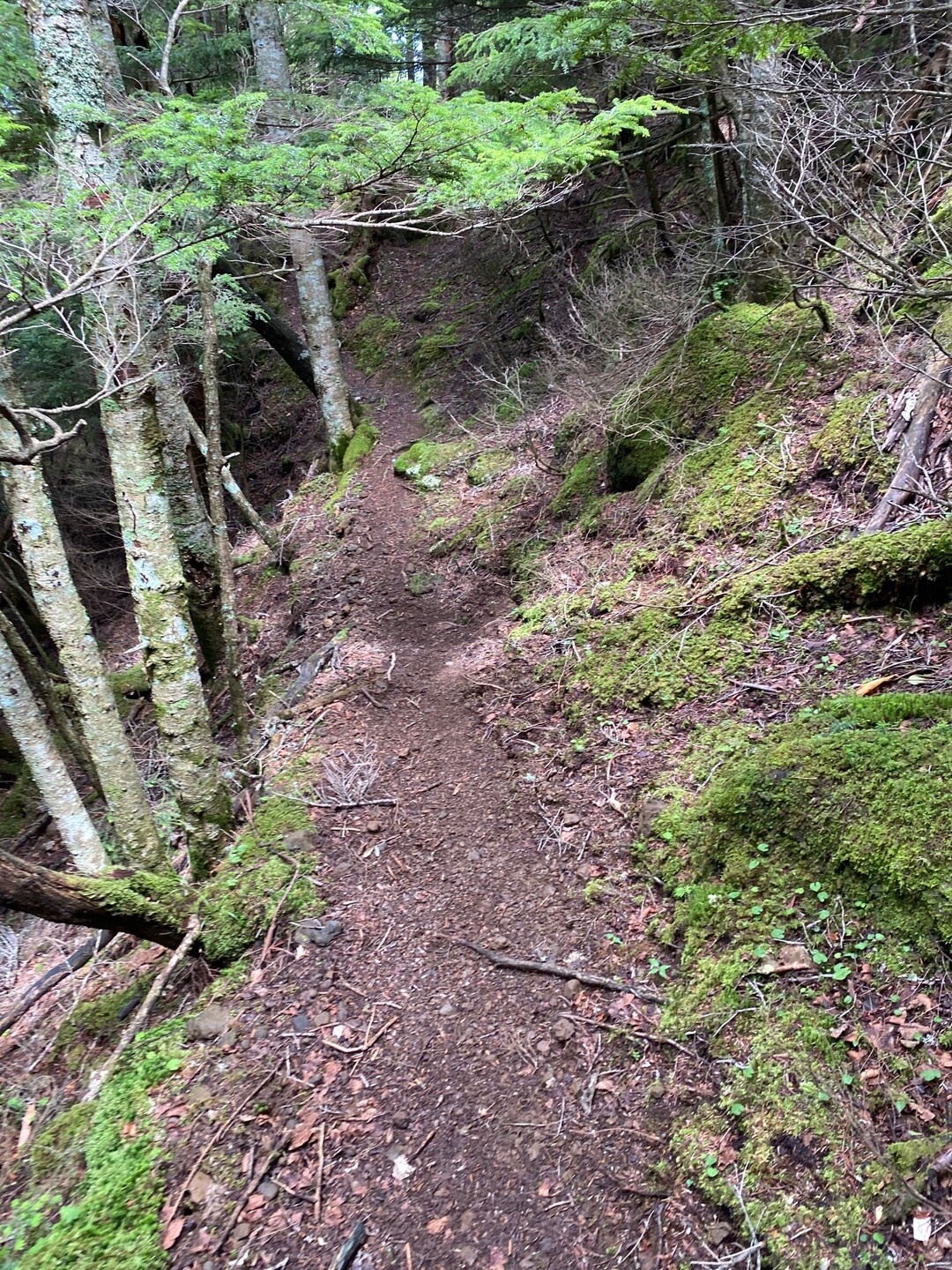 かわさんの投稿したフィールドメモ | YAMAP / ヤマップ