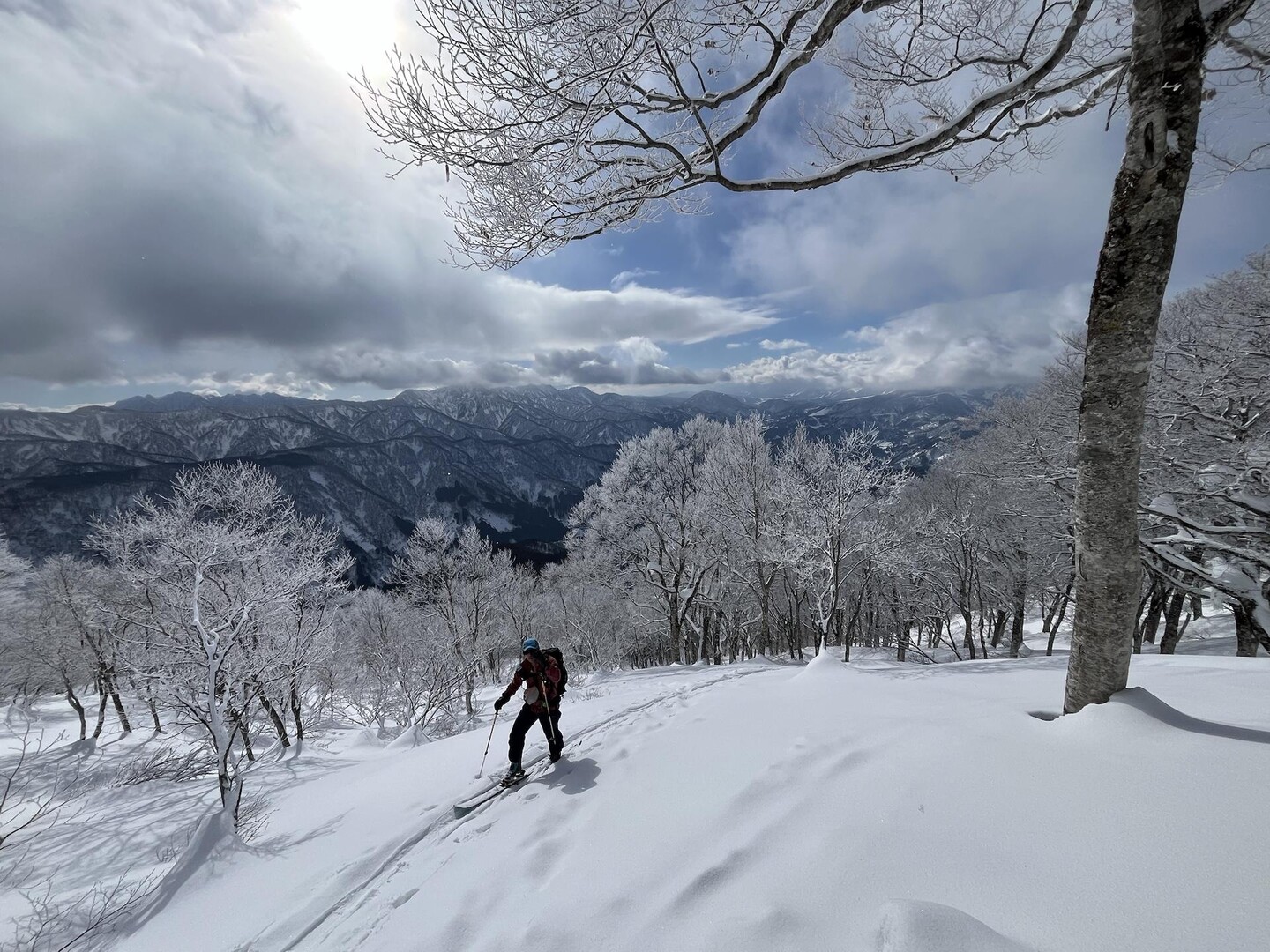 大渚山BC / ヒロポンさんの雨飾山・大渚山・天狗原山・戸倉山の活動データ | YAMAP / ヤマップ