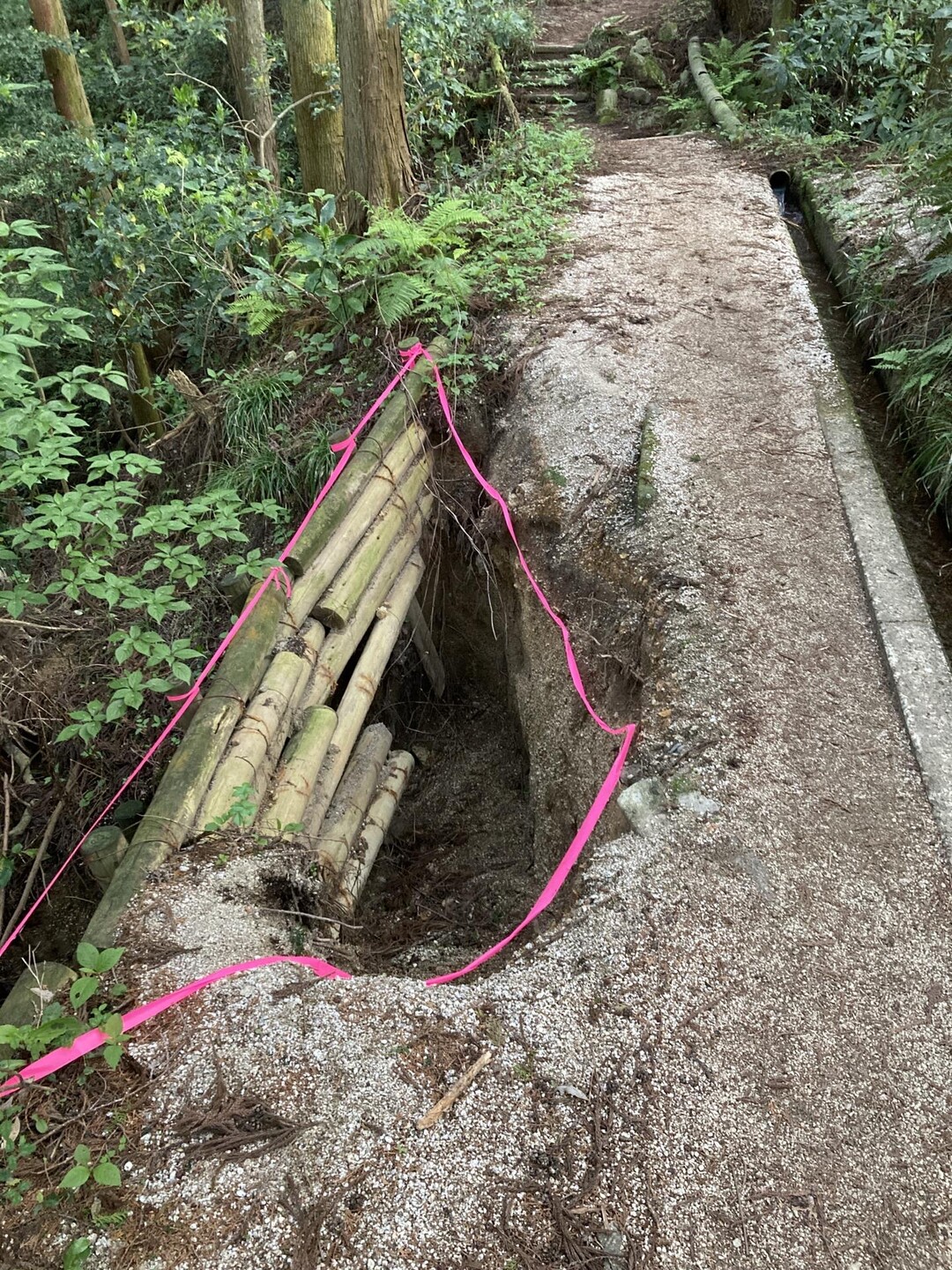 moppiさんの投稿したフィールドメモ | YAMAP / ヤマップ