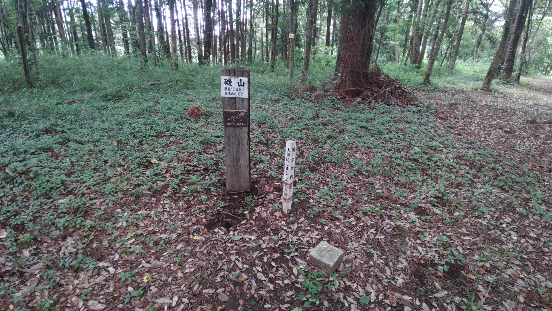 磯山 / tkwさんの大政山・浅間山の活動データ | YAMAP / ヤマップ