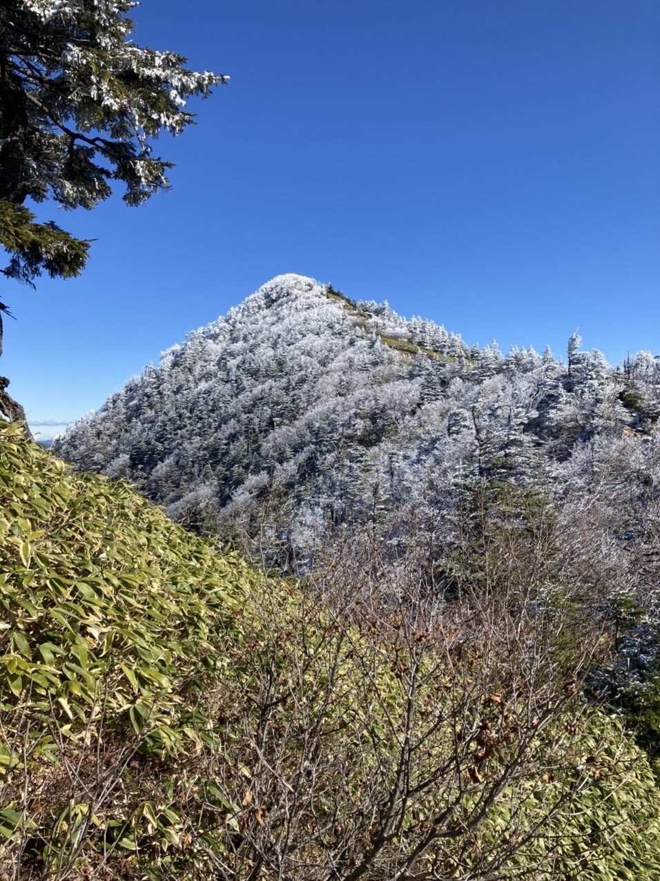 小四阿・中四阿・四阿山 / matsu_kさんの四阿山・根子岳の活動データ | YAMAP / ヤマップ