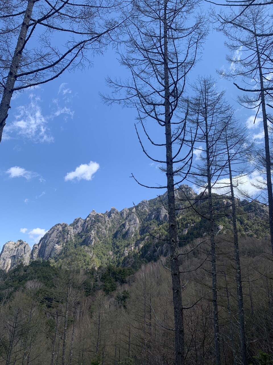 瑞牆山・砂払ノ頭・金峰山(甲州御岳山) / Mr.Fujiさんのヤマノススメ巡礼マップ（瑞牆山・金峰山）の活動データ | YAMAP / ヤマップ