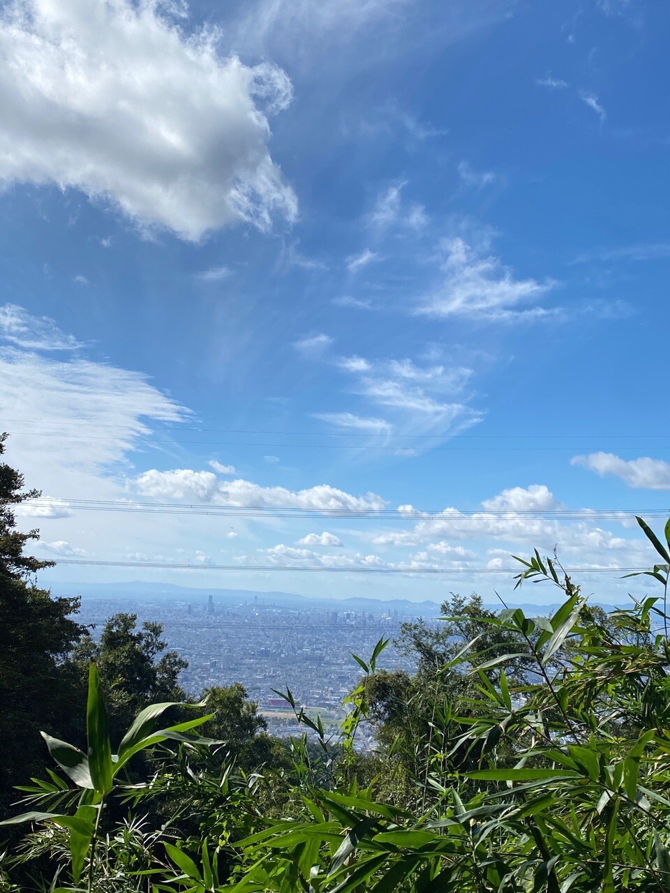 sinnさんの投稿したフィールドメモ | YAMAP / ヤマップ