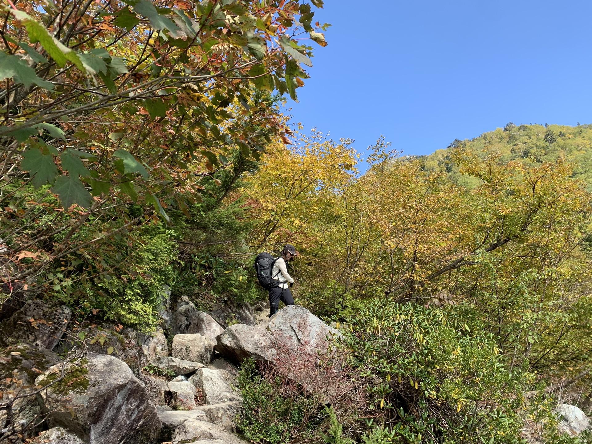 全部わたし / aya🐰さんのモーメント | YAMAP / ヤマップ