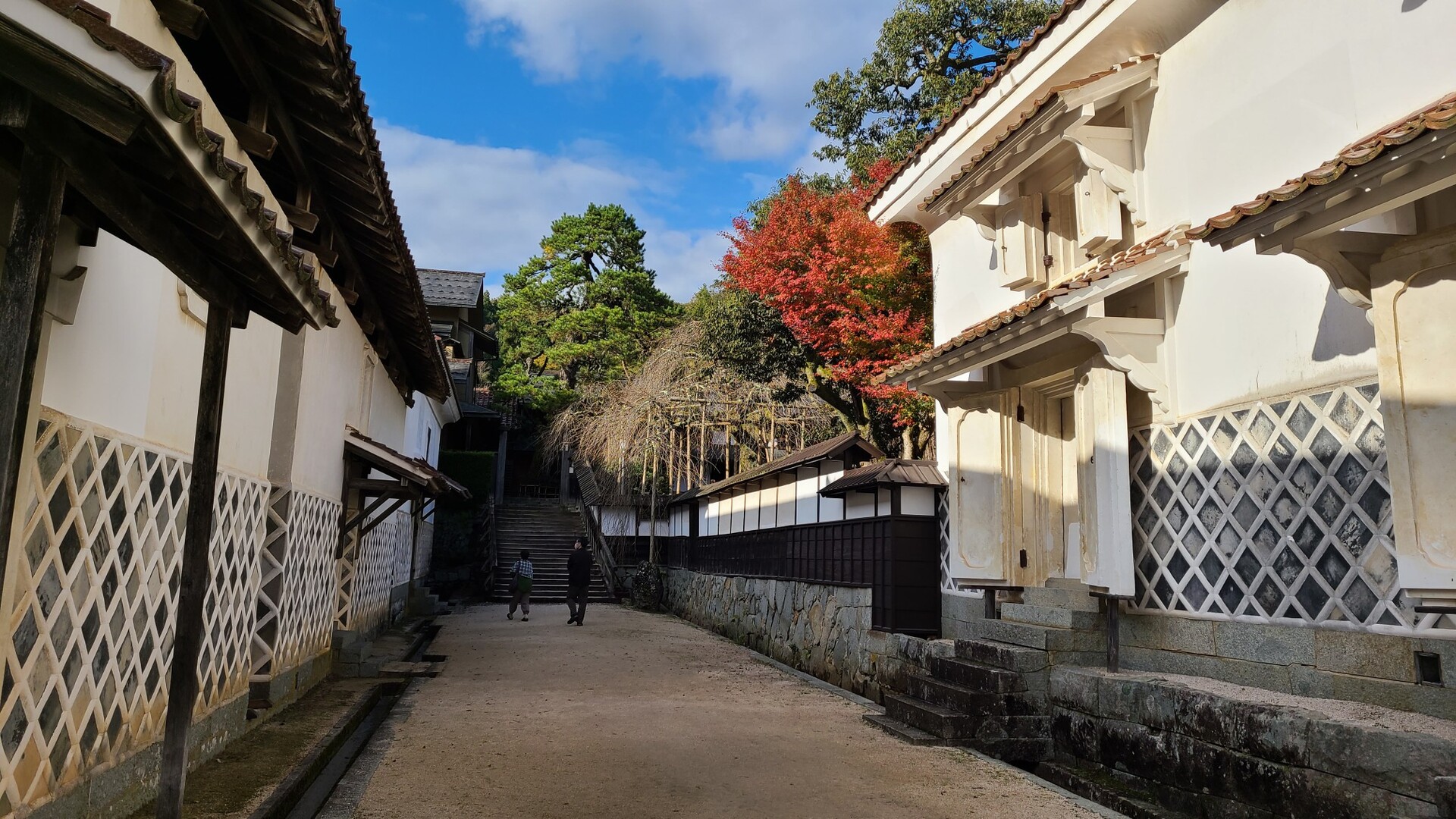 紅葉した大きなドウダンツツジと、切り株の... / ミルキーさんのモーメント | YAMAP / ヤマップ
