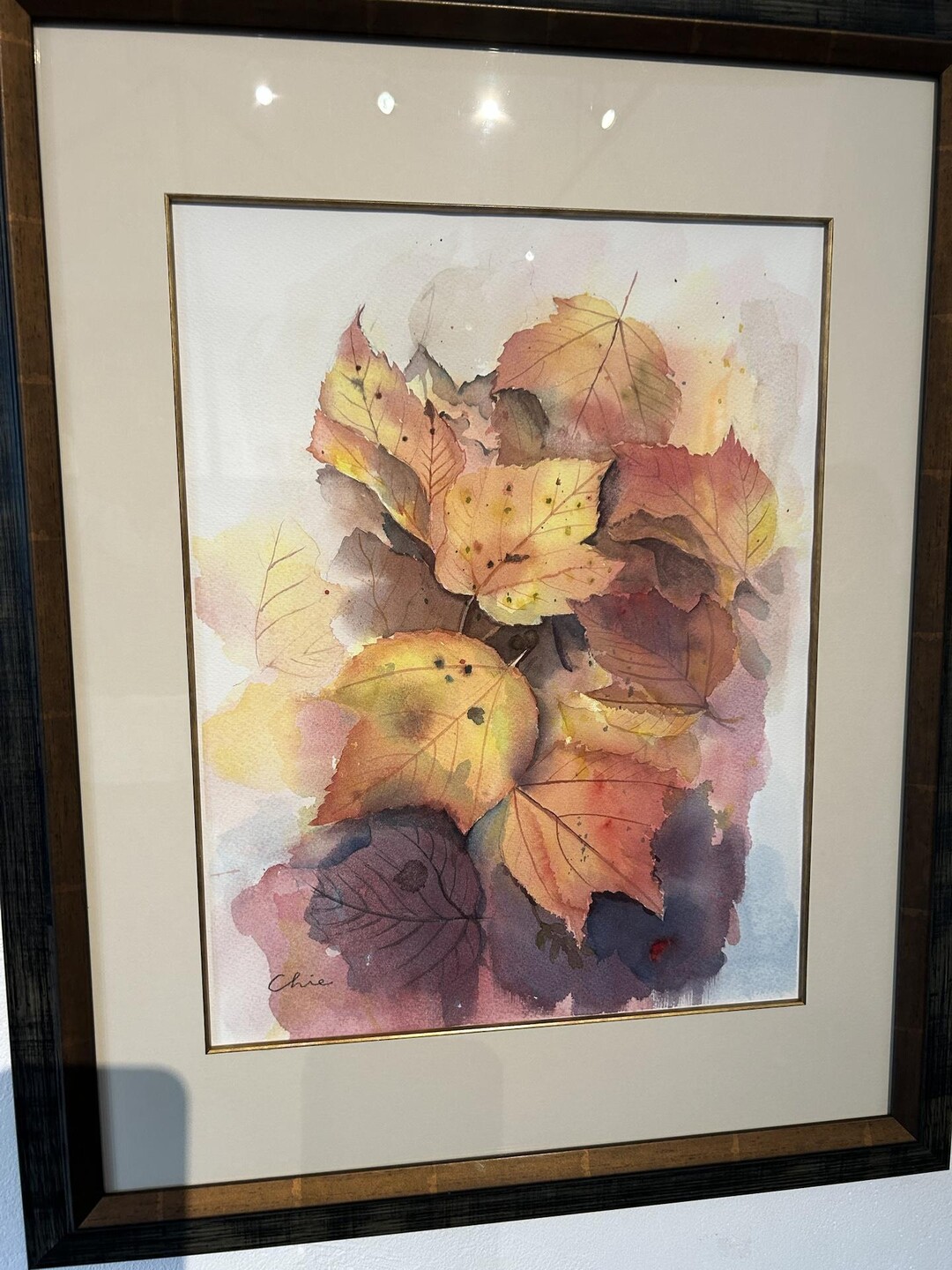 今日は山友のちえさんが石内ぺノンで個展を... / くまさんのモーメント | YAMAP / ヤマップ