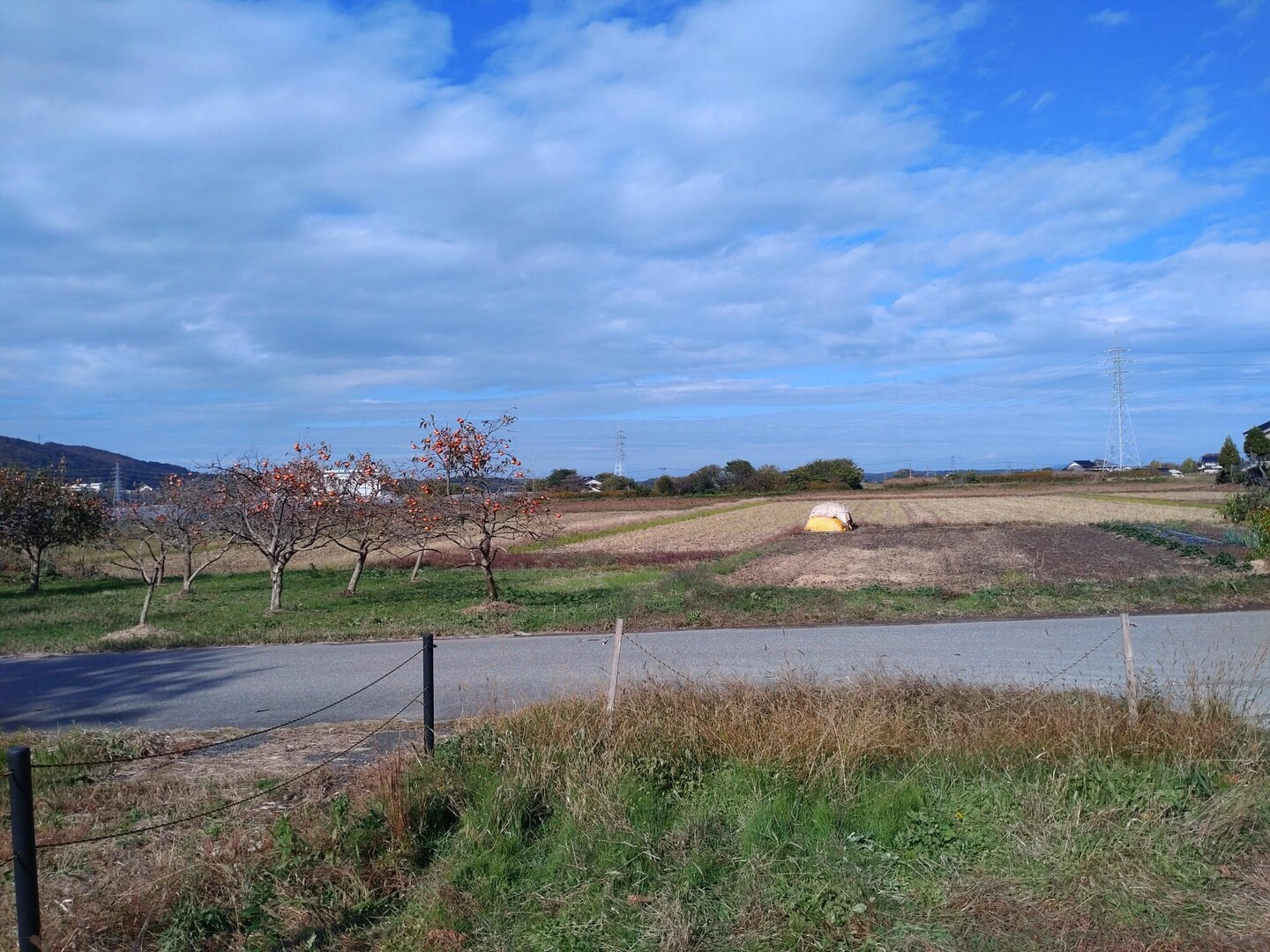 2022.11.05(土) 08:23 / レインさんのモーメント | YAMAP / ヤマップ