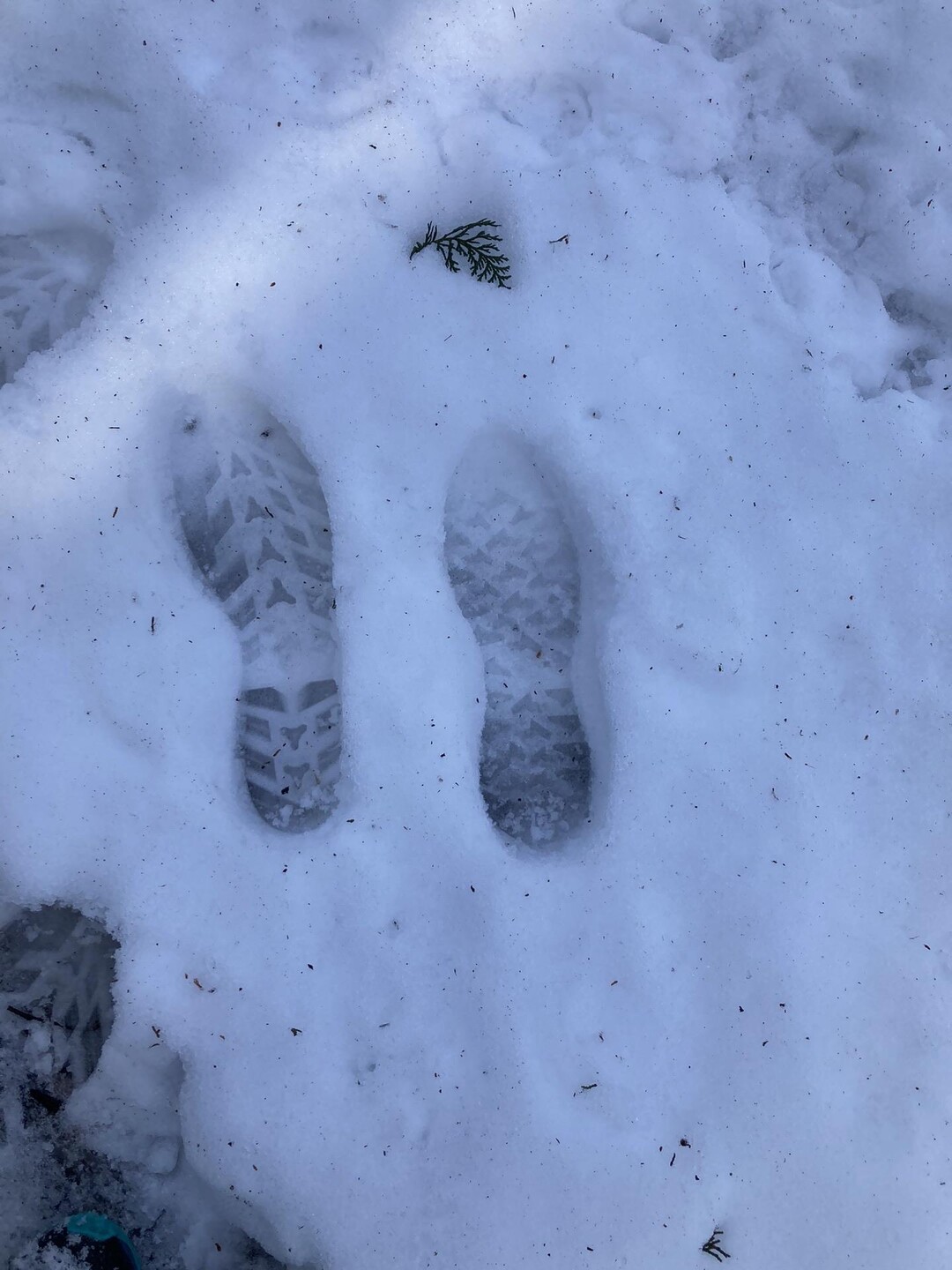 ソールの溝比べ ただのデザインか機能が違... / ayayoさんのモーメント | YAMAP / ヤマップ