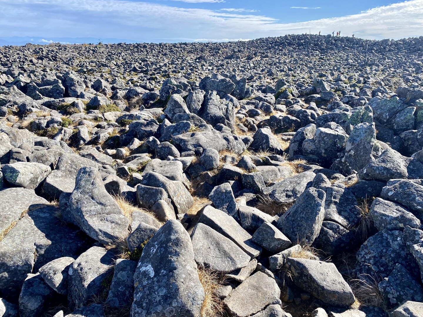 蓼科山 / konさんの蓼科山・横岳・縞枯山の活動データ | YAMAP / ヤマップ