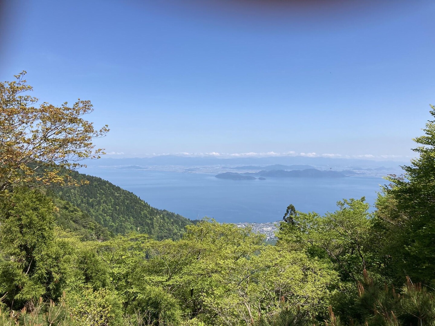 堂満岳・前山 / msさんの比良山地・武奈ヶ岳・釈迦岳の活動データ | YAMAP / ヤマップ