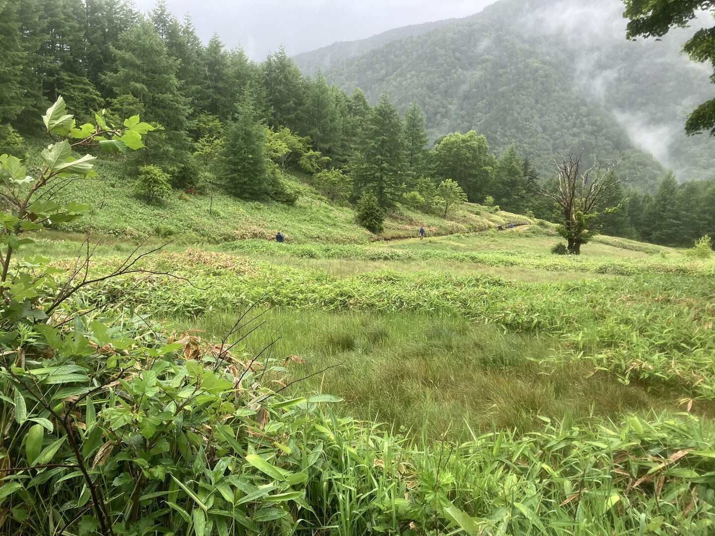 Central Alps Skyline 38km / pirafuさんの木曽駒ヶ岳・空木岳・越百山の活動データ | YAMAP / ヤマップ