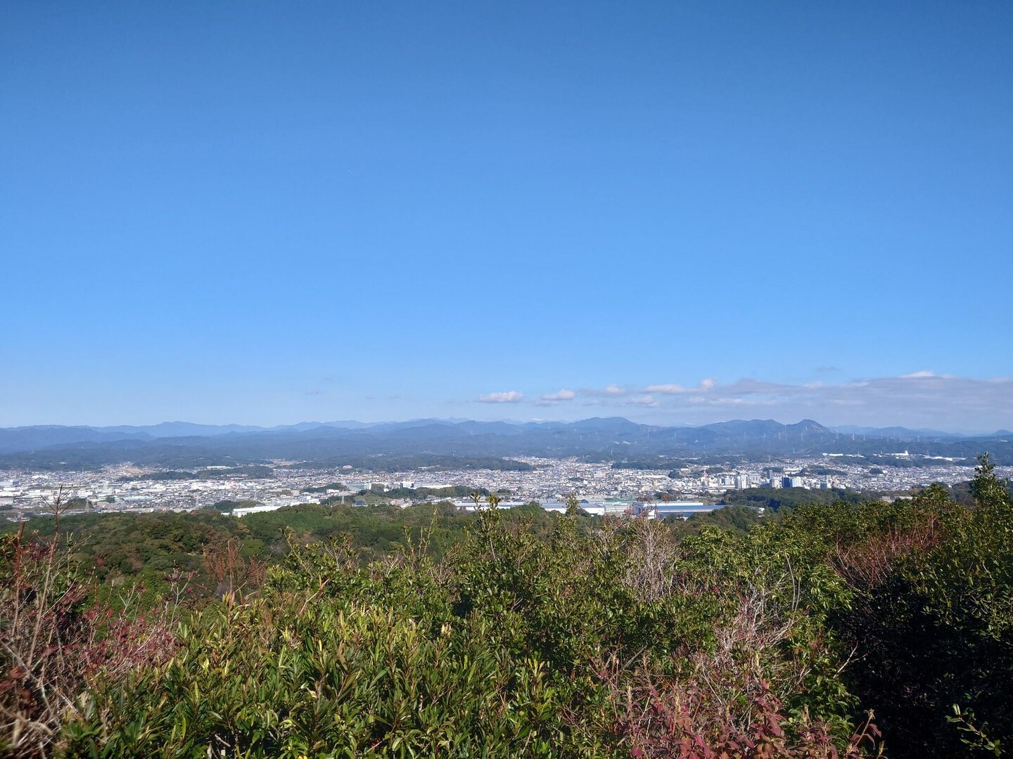 小笠山展望台周回コースでトレランモドキ / yagarinさんの小笠山の活動データ | YAMAP / ヤマップ