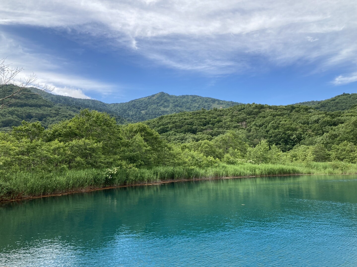 220717 could see Yan... / yellowさんのモーメント | YAMAP / ヤマップ