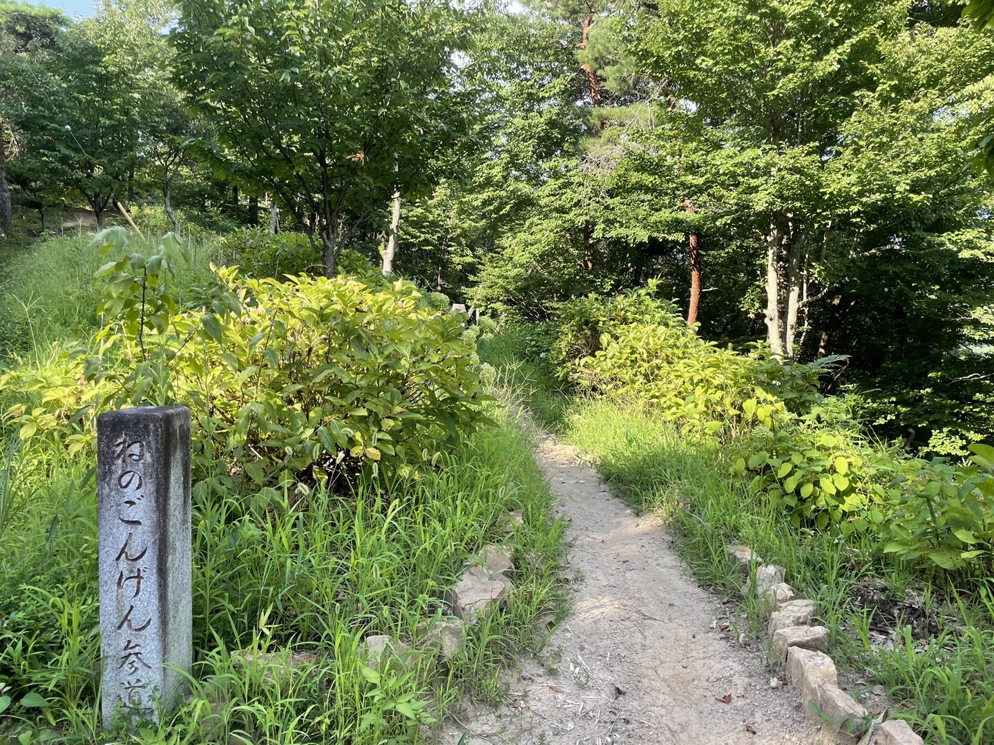 日曜日恒例 大坊山・つつじ山 / HAMHAM21さんの両崖山・仙人ヶ岳・石尊山の活動データ | YAMAP / ヤマップ