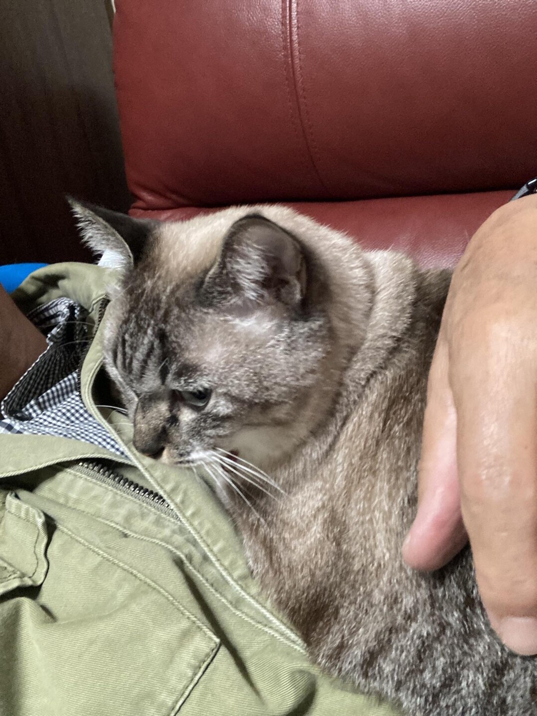 げんちゃんただいまー^ ^ / たかっshiさんのモーメント | YAMAP / ヤマップ