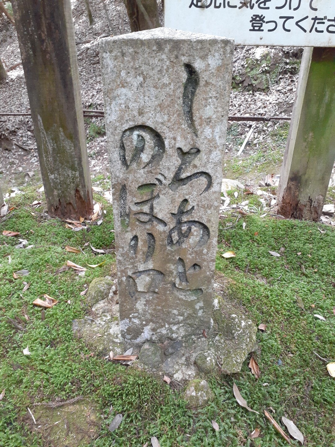 短時間勤務の日もいそいそお山へ 郡山 / DSHさんの郡山の活動データ | YAMAP / ヤマップ