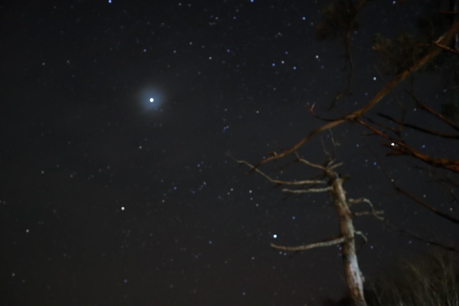 星空撮影⭐剣山〜一ノ森 / saori さんの剣山の活動データ | YAMAP / ヤマップ