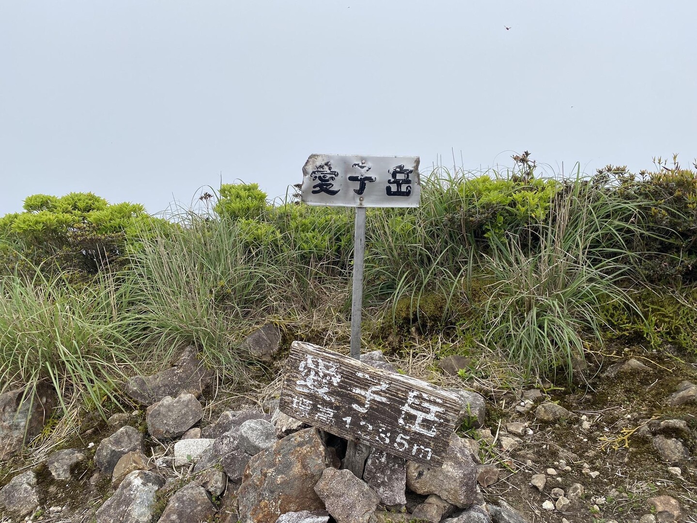 愛子岳 / kayoさんの屋久島・宮之浦岳の活動データ | YAMAP / ヤマップ