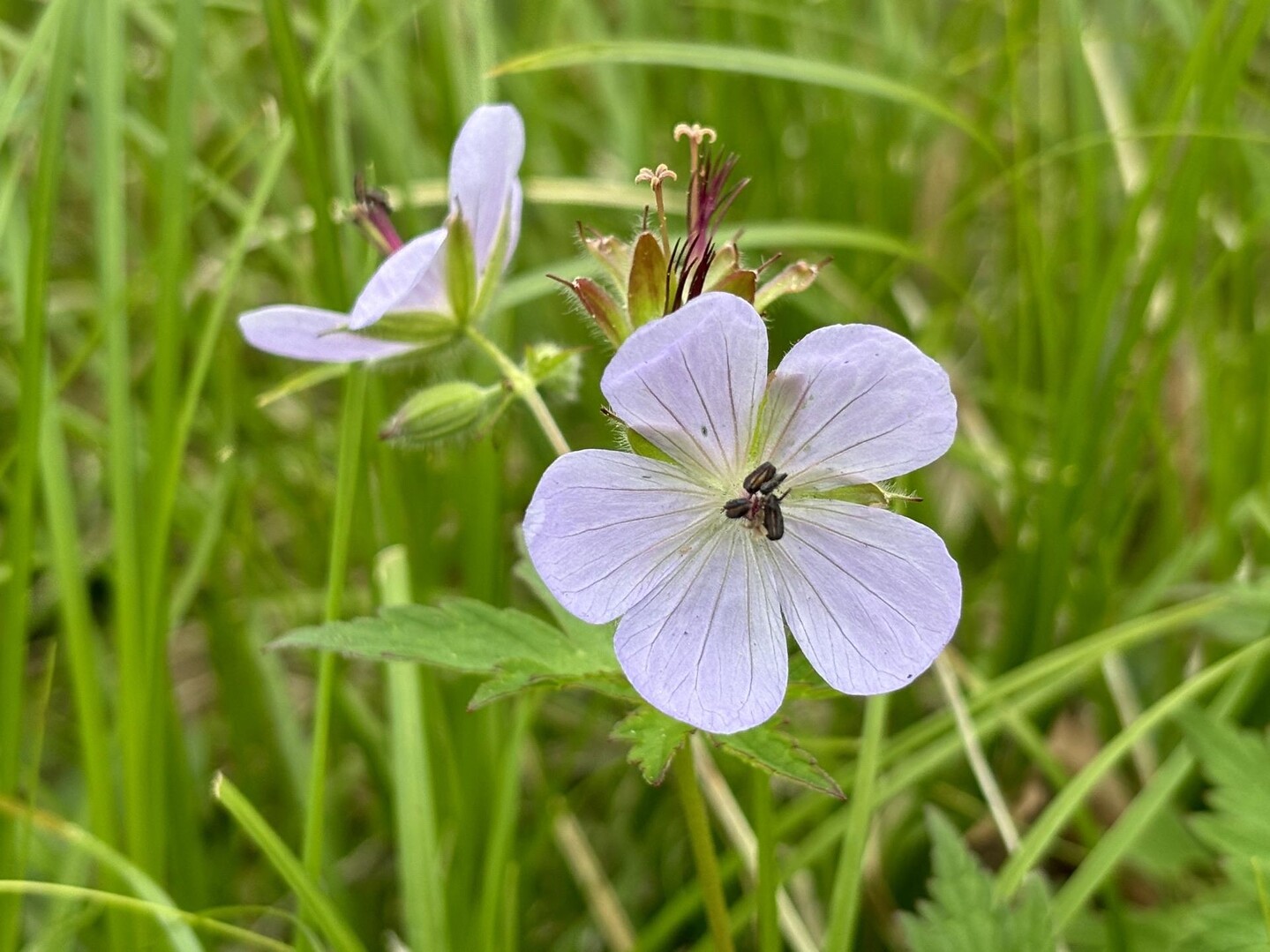 写万部山 / Yotchさんの写万部山の活動データ | YAMAP / ヤマップ