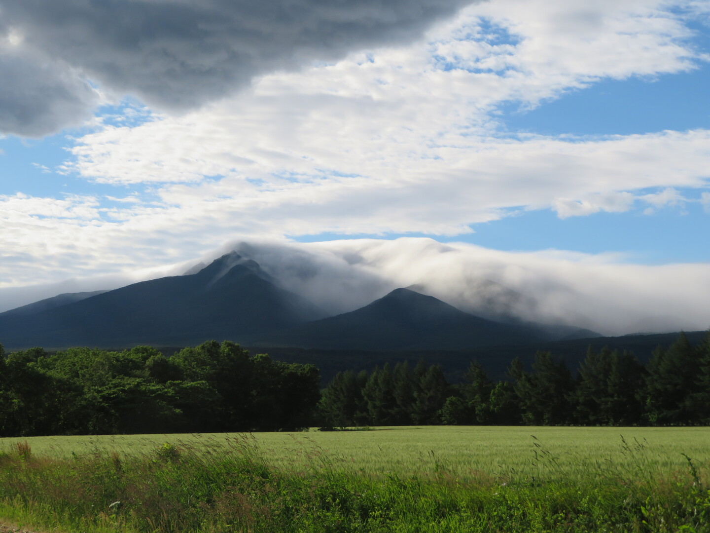 斜里岳 / Taroさんの斜里岳の活動データ | YAMAP / ヤマップ