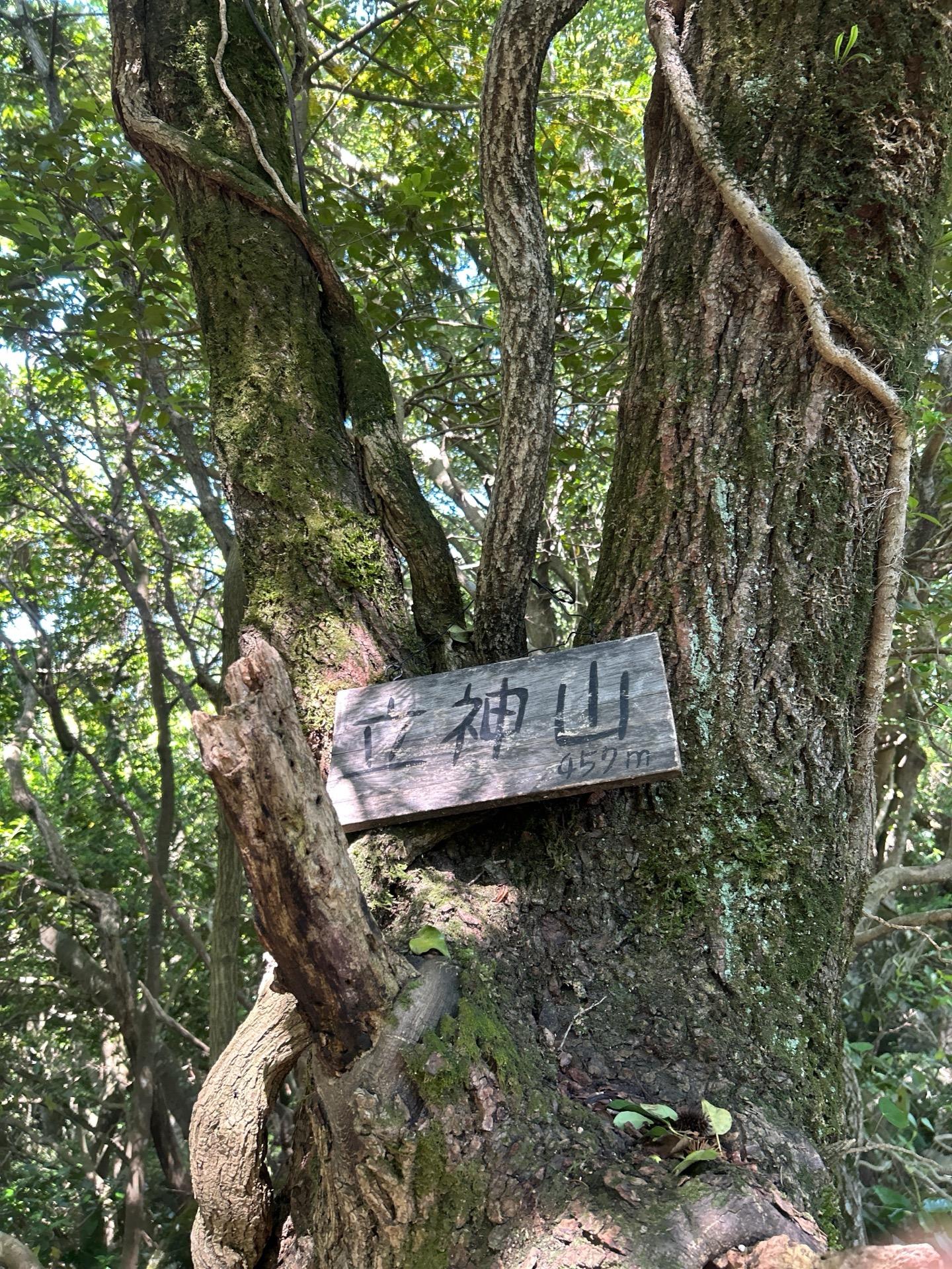 立神山（龍山） / Mimiさんの高祖山・飯盛山・叶岳の活動データ | YAMAP / ヤマップ