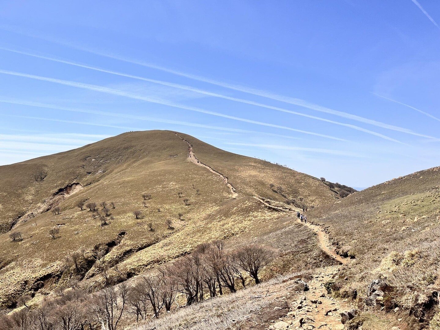 3人ヤマ① 竜ヶ岳 / yukaさんの竜ヶ岳の活動データ | YAMAP / ヤマップ