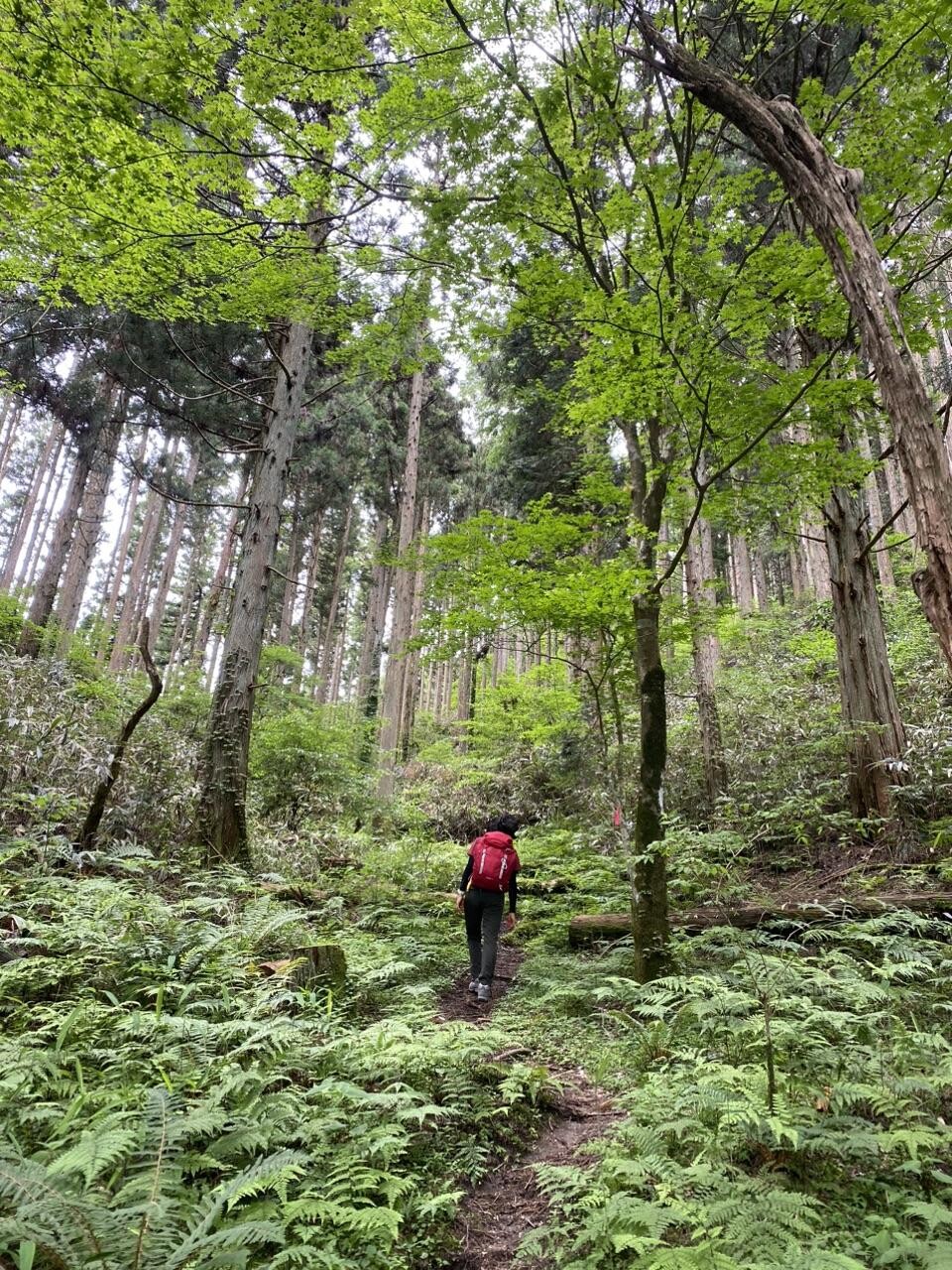 あきこのページ | YAMAP / ヤマップ