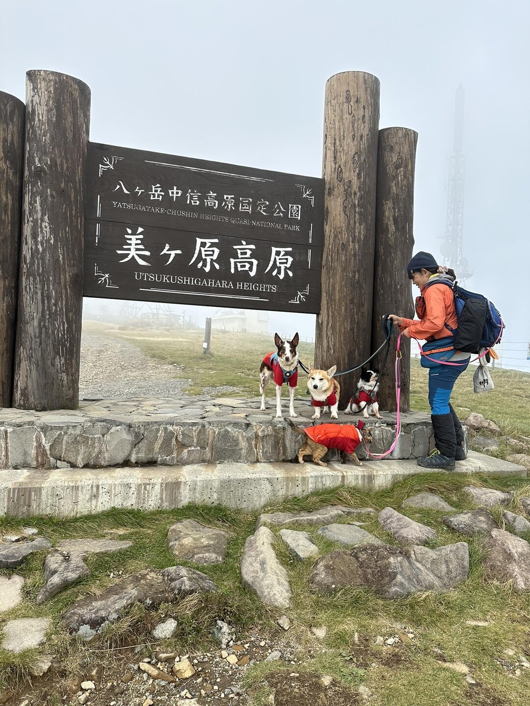 牛伏山・美ヶ原（王ヶ頭）・王ヶ鼻 / gonさんの美ヶ原の活動データ | YAMAP / ヤマップ