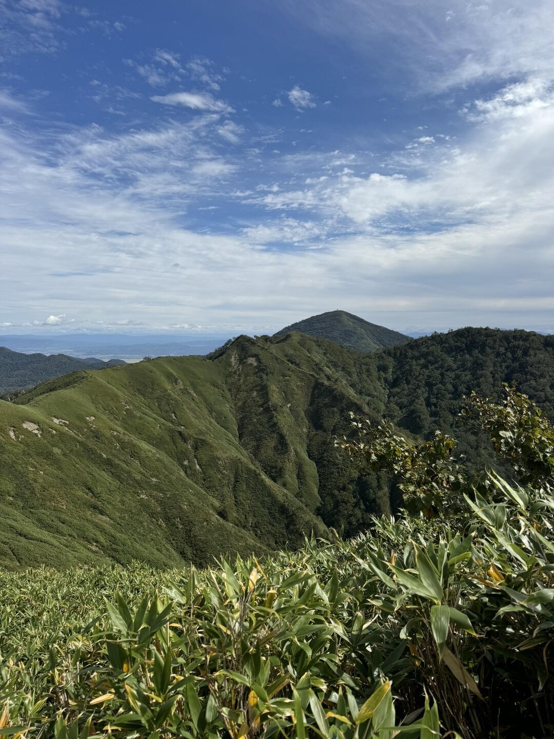 トレーニング / pu_chanさんの神居尻山・ピンネシリの活動データ | YAMAP / ヤマップ