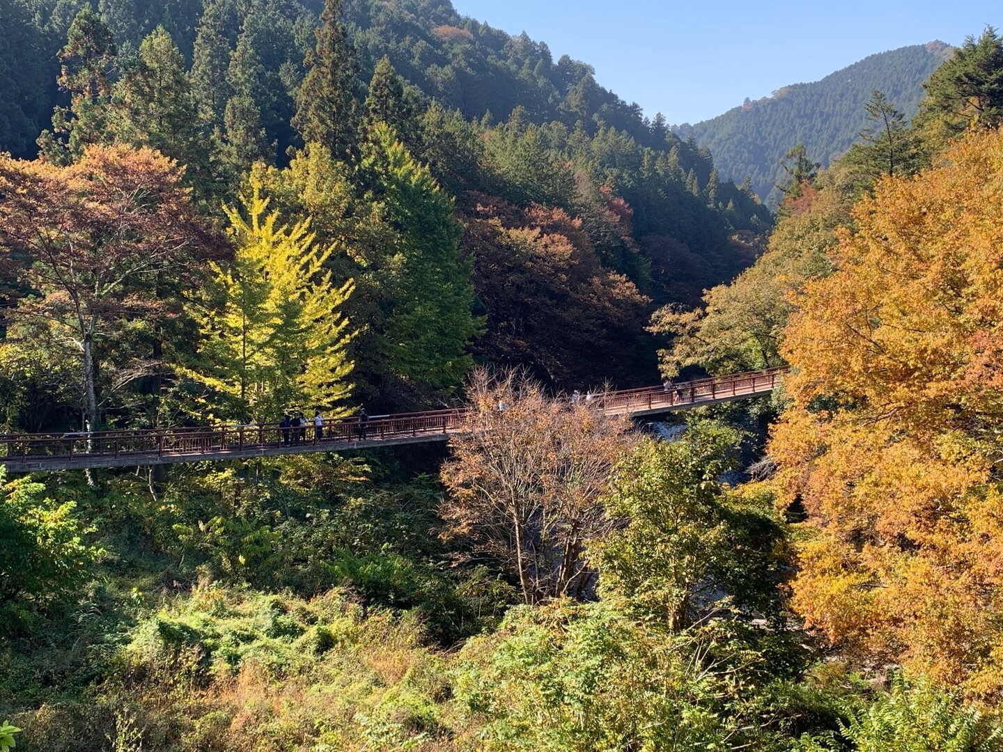 戸倉城山 / BUNさんの大岳山・御岳山・御前山の活動日記 | YAMAP / ヤマップ