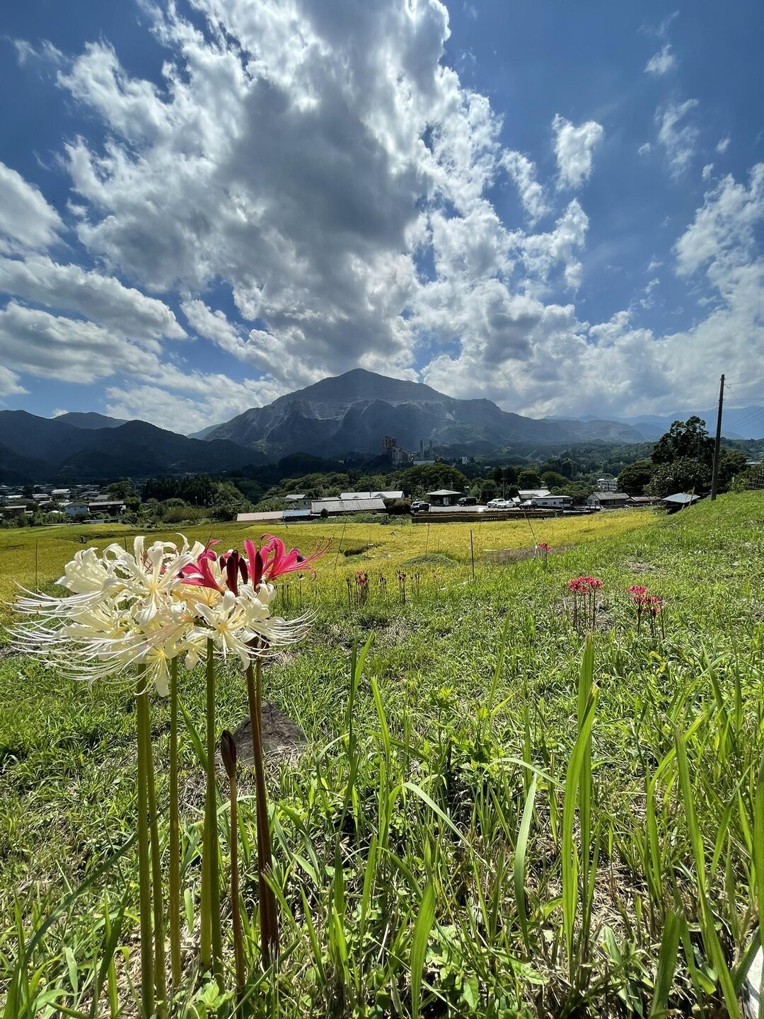 武甲山・小持山・大持山・横倉山 / goriさんの武甲山・伊豆ヶ岳・小持山の活動データ | YAMAP / ヤマップ
