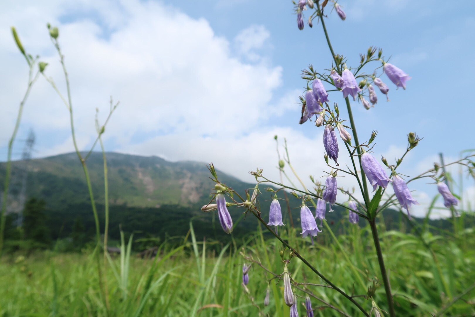伊吹山 / jonasanさんの伊吹山・伊吹高原・御座峰の活動データ | YAMAP / ヤマップ
