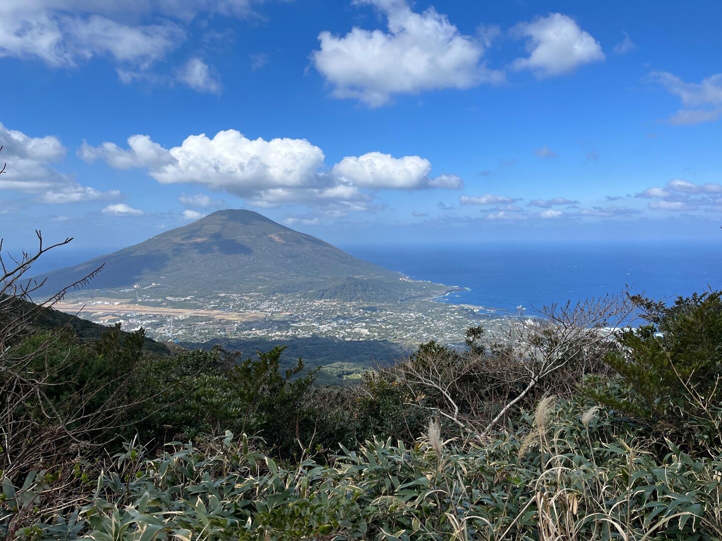 八丈島の三原山とグレーピーク🔼チャレンジ / mskふぅさんの八丈島・東山（三原山）・西山（八丈富士）の活動データ | YAMAP / ヤマップ