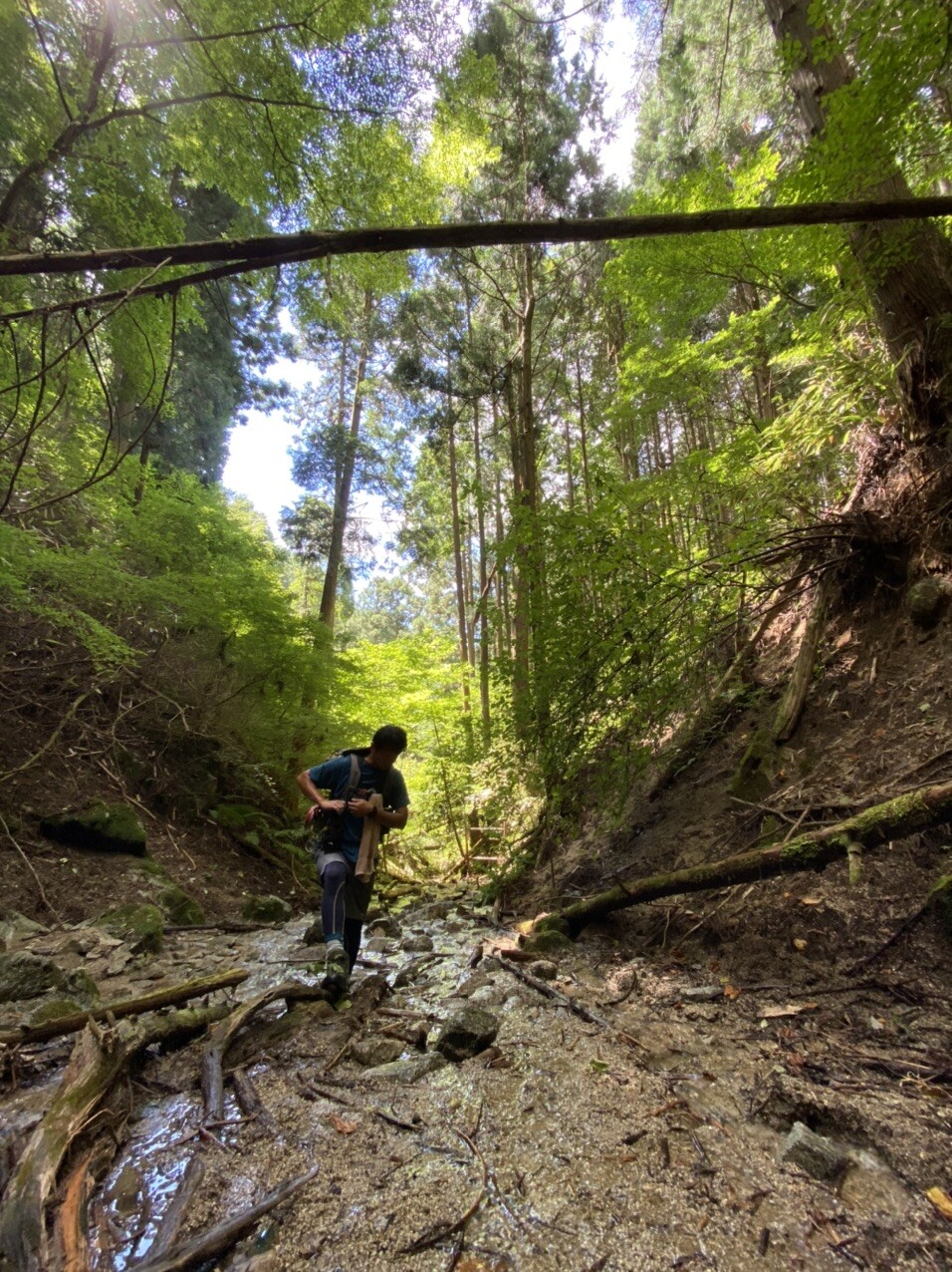 KenKenのページ | YAMAP / ヤマップ