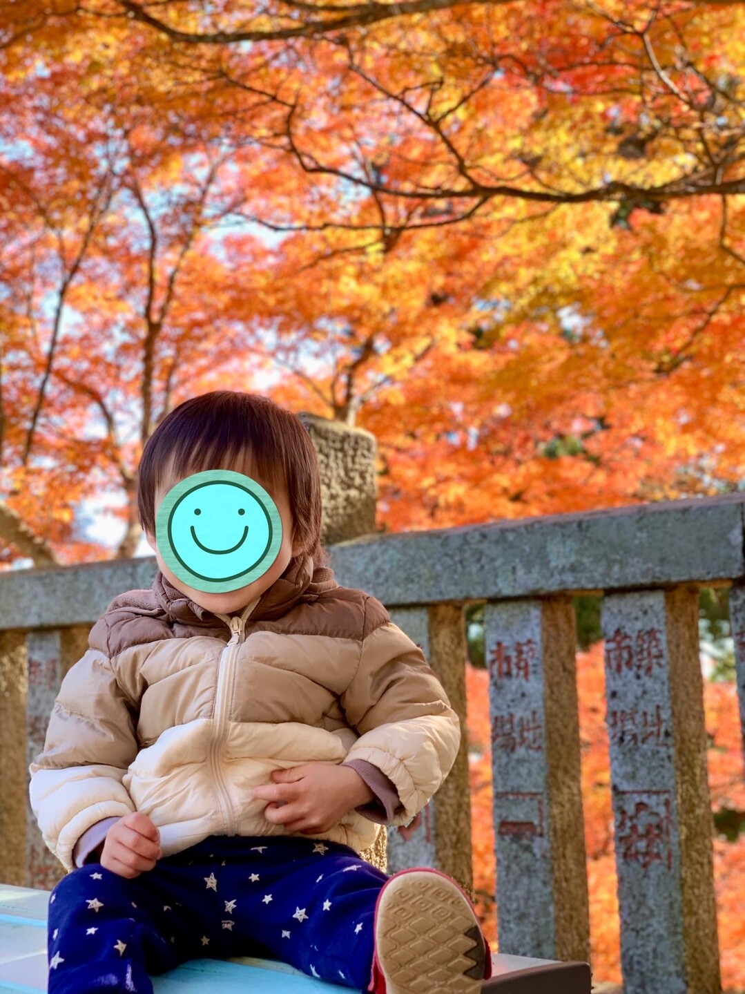 大山 / KO&momさんの大山の活動データ | YAMAP / ヤマップ